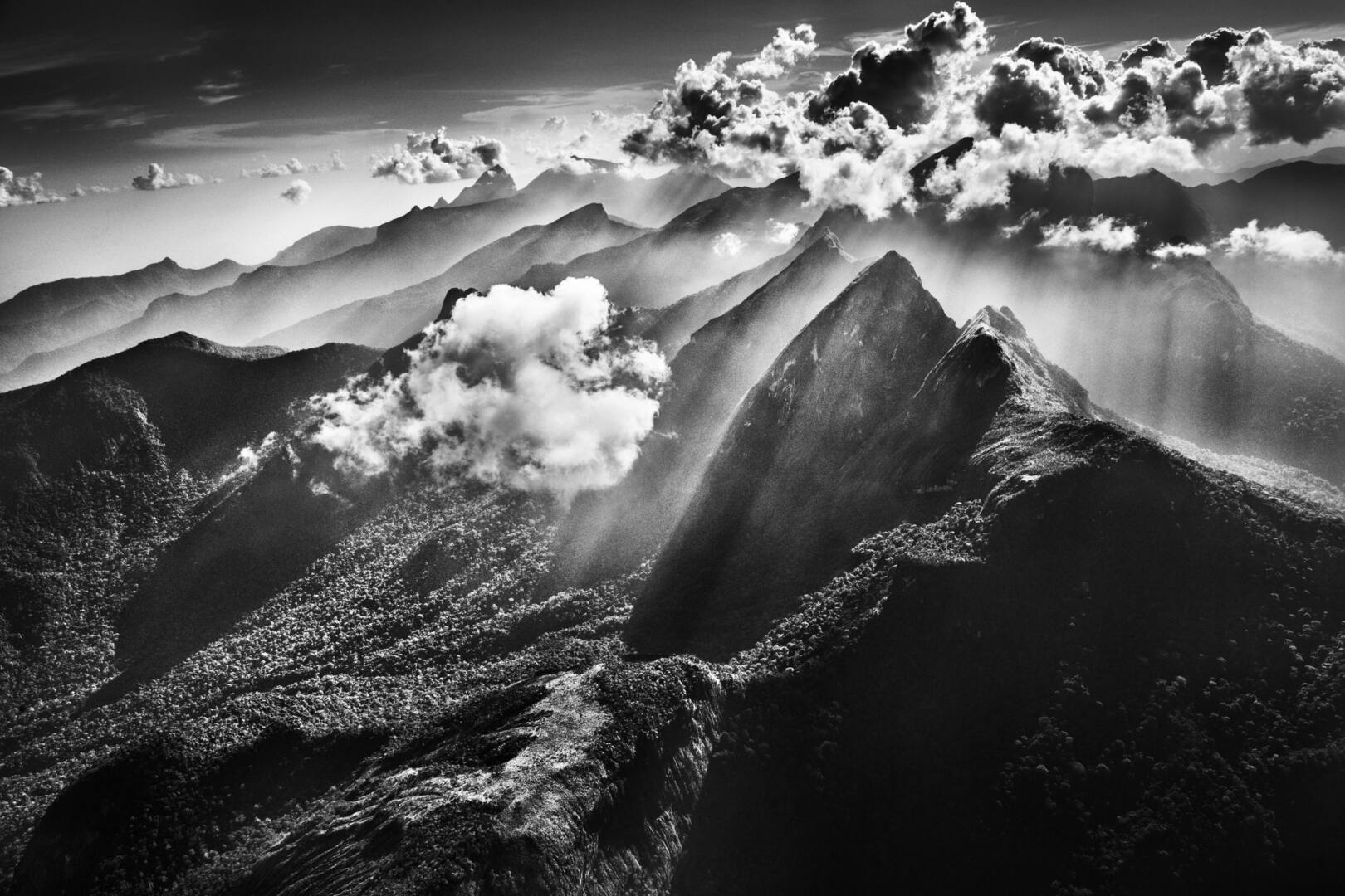 Sebastião Salgado: Mestre Da Fotografia Documental E Ambiental